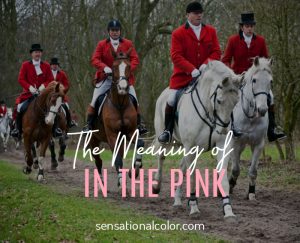 Meaning Of Pink: Color Psychology And Symbolism - Sensational Color