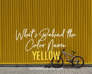 Meaning Of Yellow: Color Psychology And Symbolism - Sensational Color