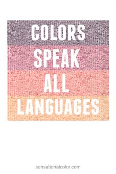 Color Terms and Phrases Shape How You See - Sensational Color