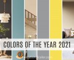 Color of the Year 2021: Six Takes on Color Trends - Sensational Color
