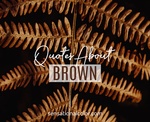 Quotes About Brown - Sensational Color