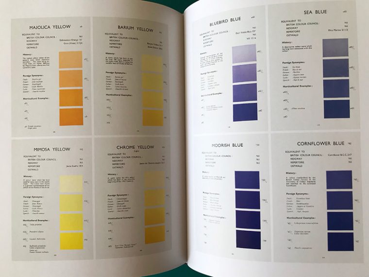 The Anatomy of Color - Sensational Color